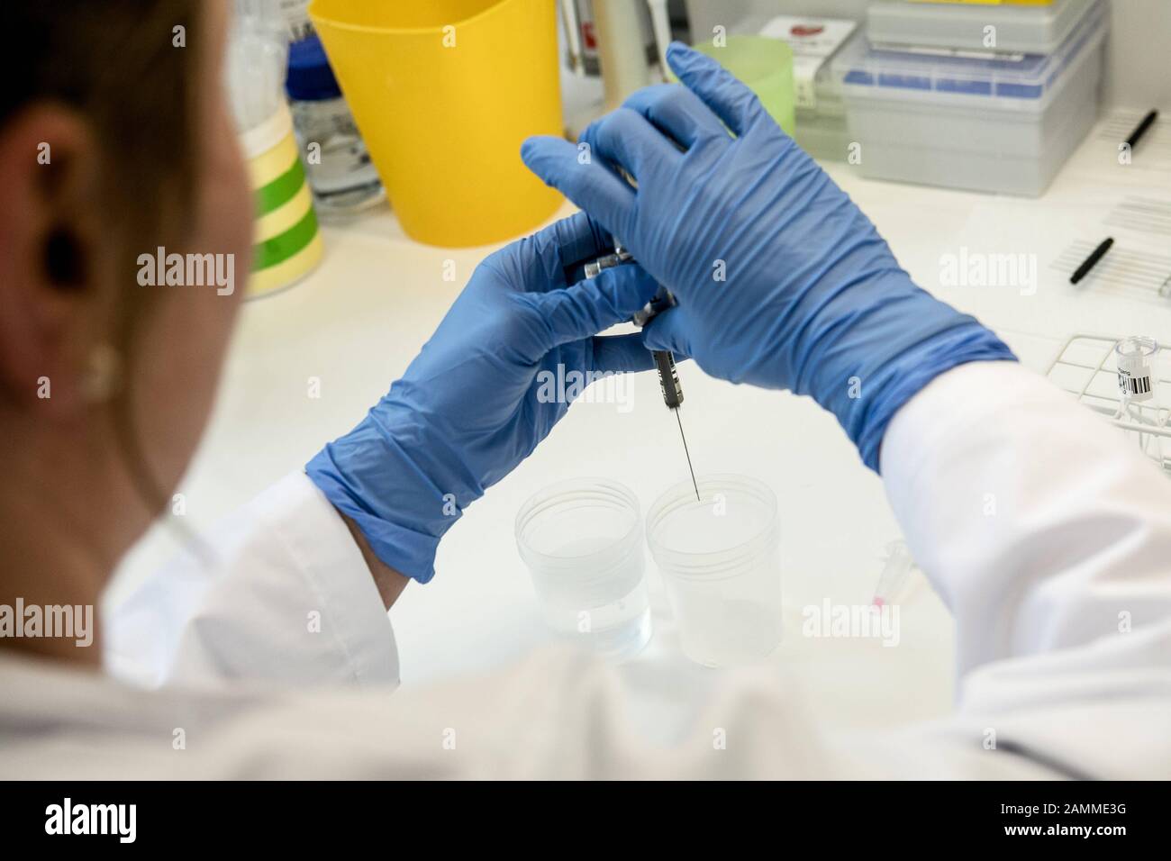 Laboratory for Immunogenetics and Molecular Diagnostics at the Ludwig ...