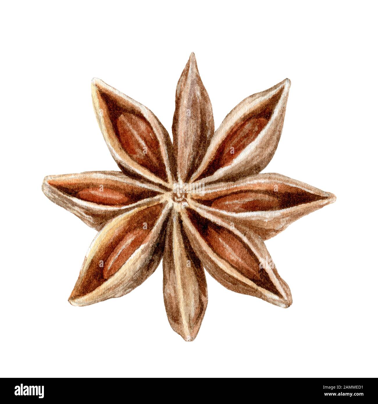 Star anise on wooden Cut Out Stock Images & Pictures - Alamy