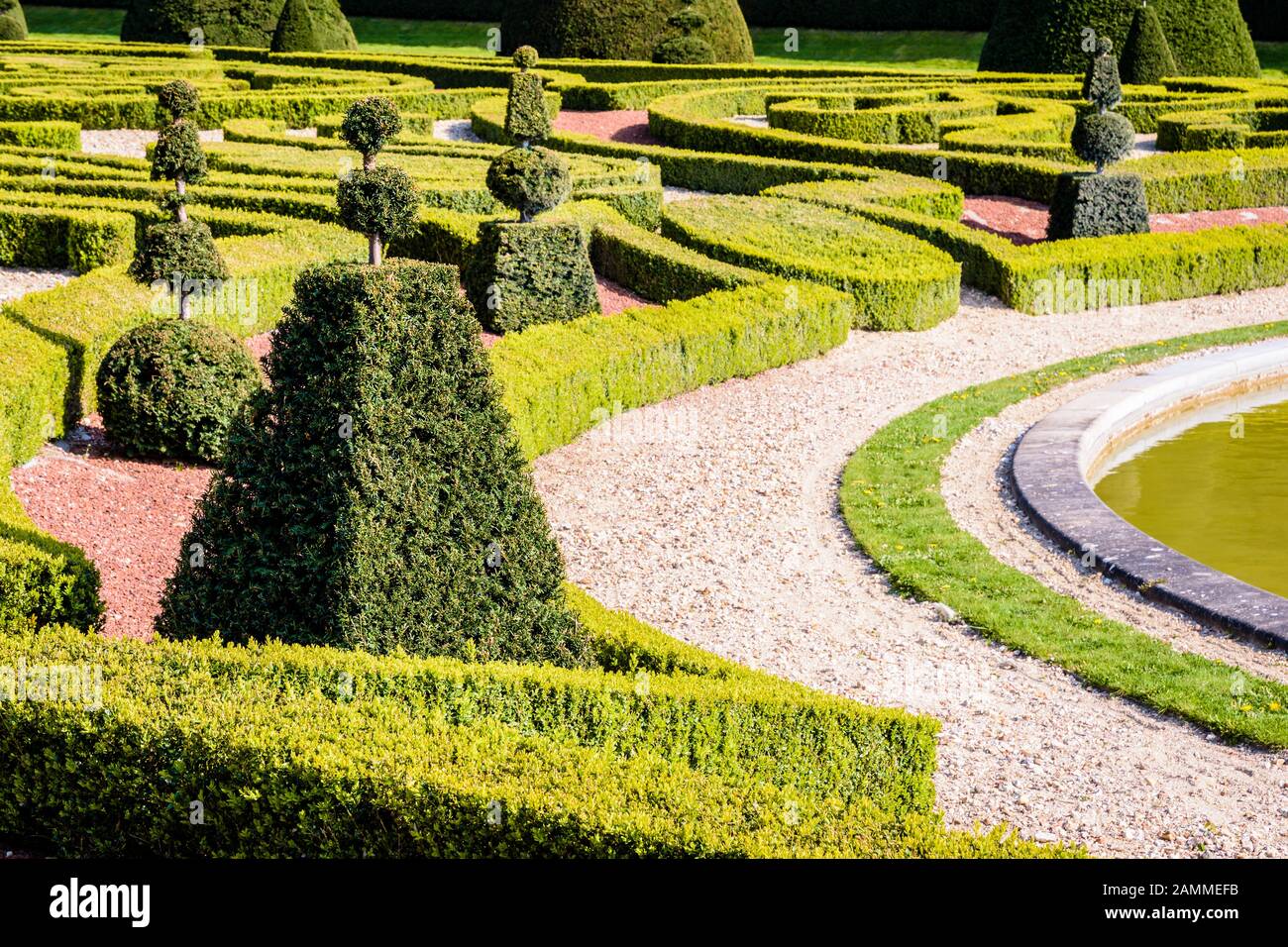 A parterre in a french formal garden, with shrubs and low hedges of box ...