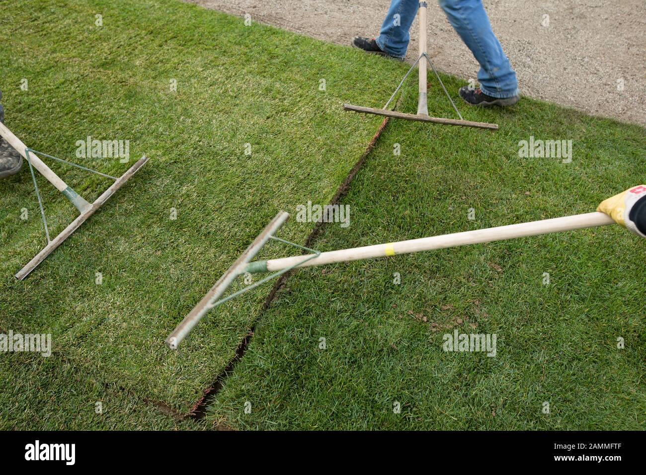 Rolling new turf hi-res stock photography and images - Alamy