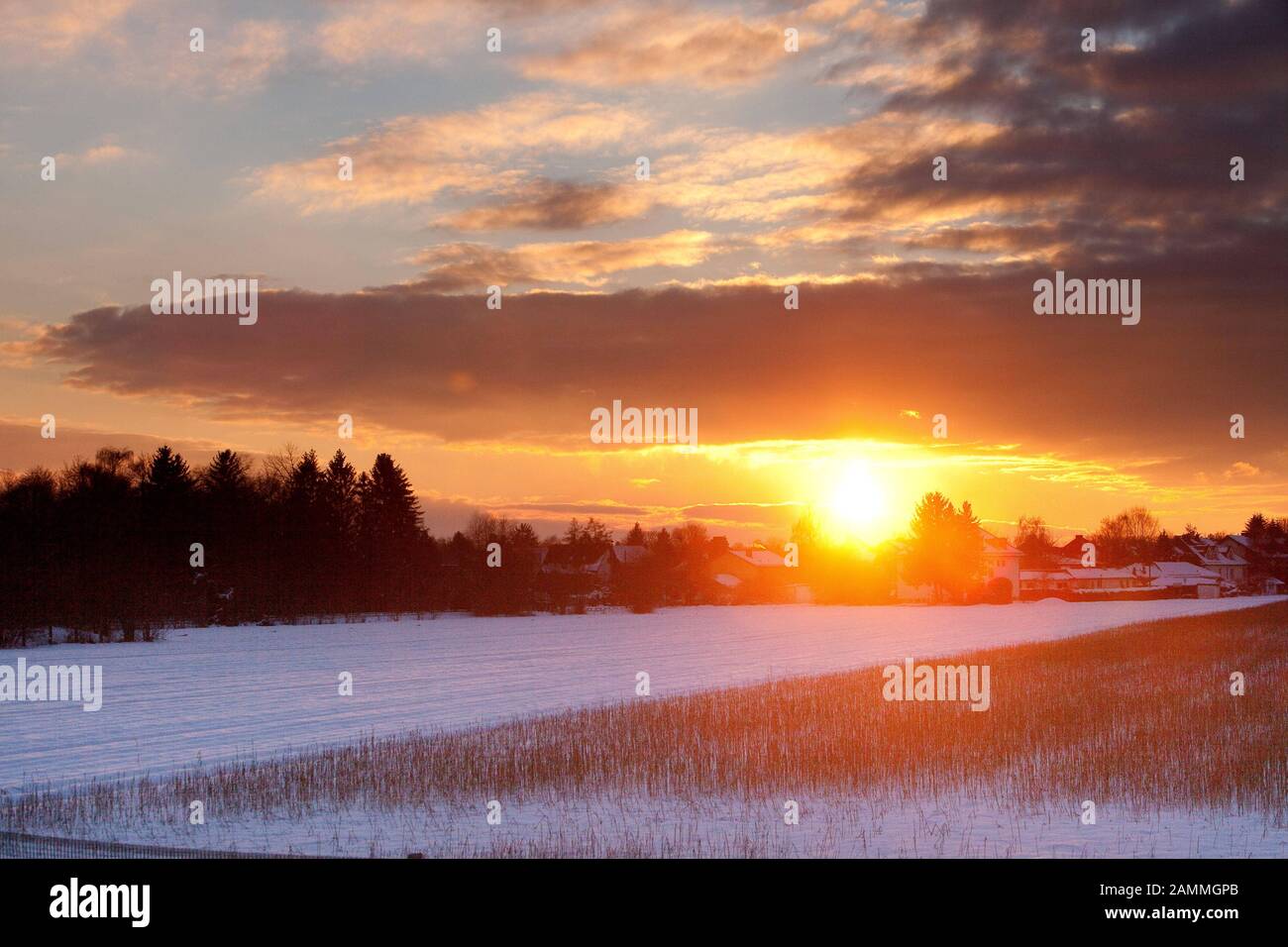 Wintery area around the Munich Fasaneriesee [automated translation ...