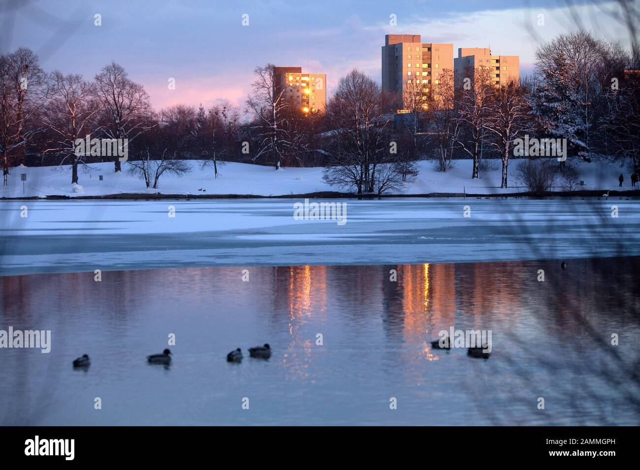 Wintery area around the Munich Fasaneriesee [automated translation ...
