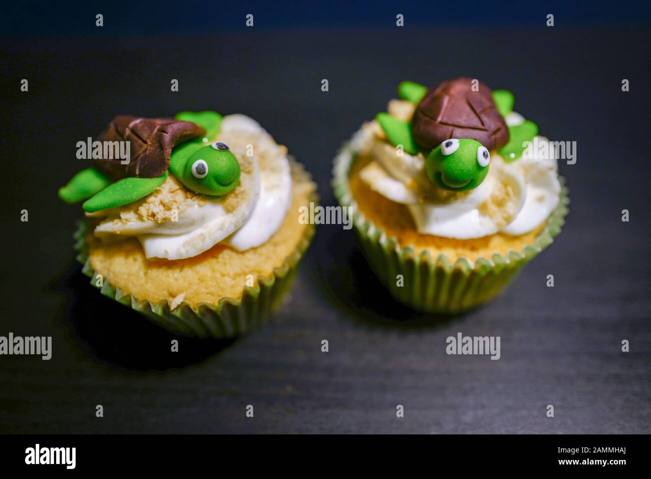 For the reopening of the turtle theme world in the Sea Life Aquarium in ...