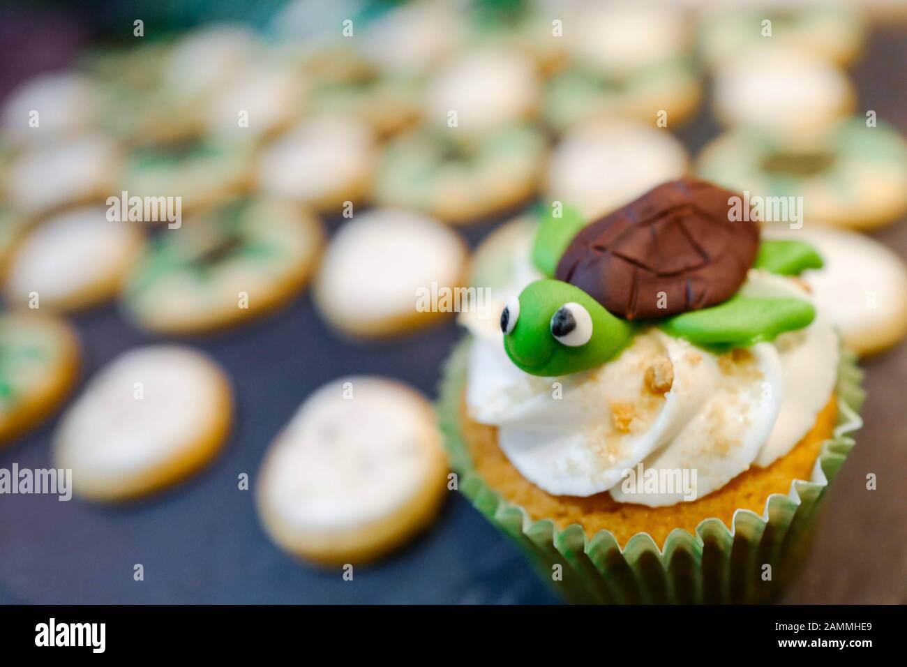 For the reopening of the turtle theme world in the Sea Life Aquarium in ...