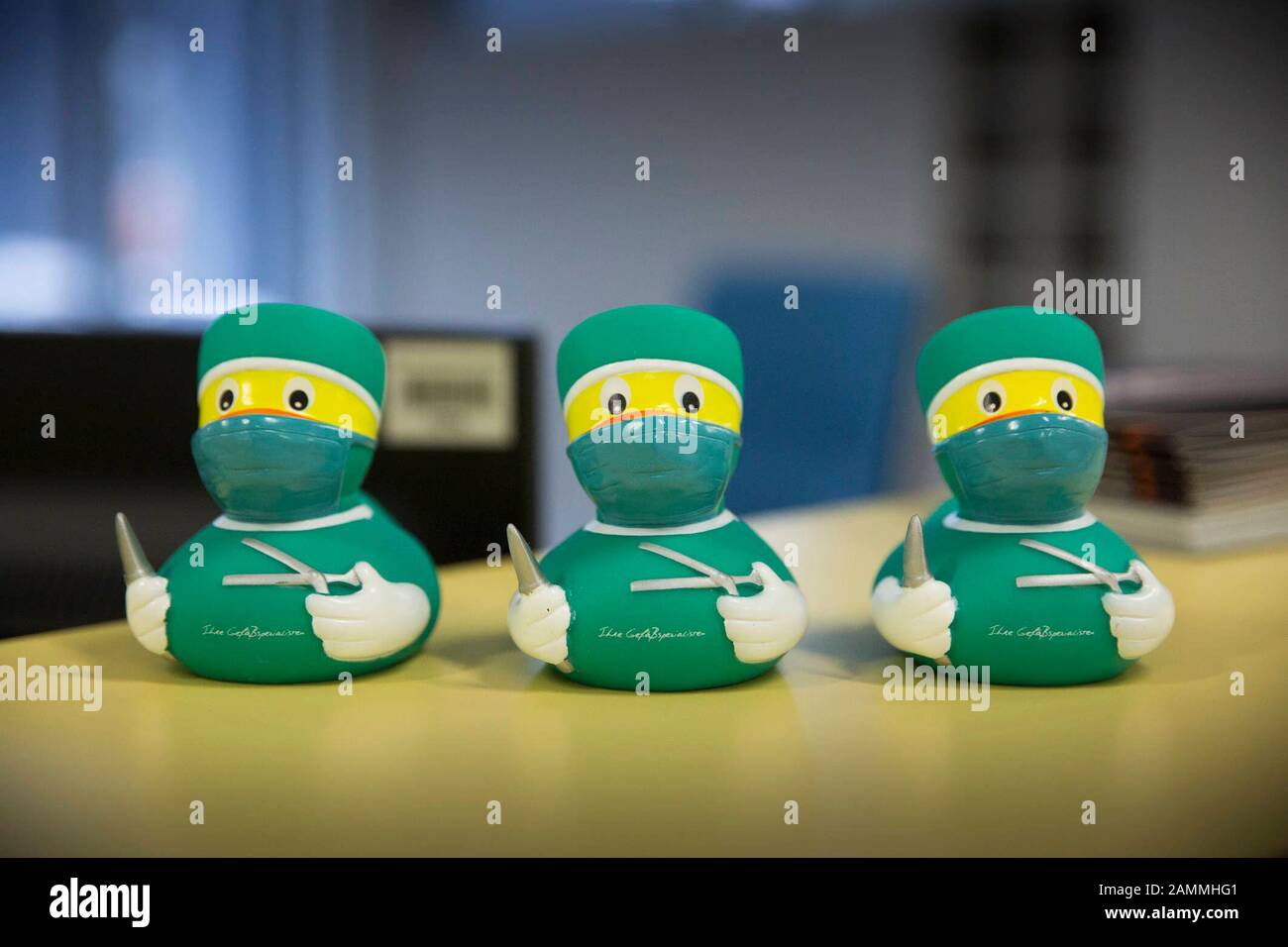 The ducks in surgical clothes are standing at the reception of the ...