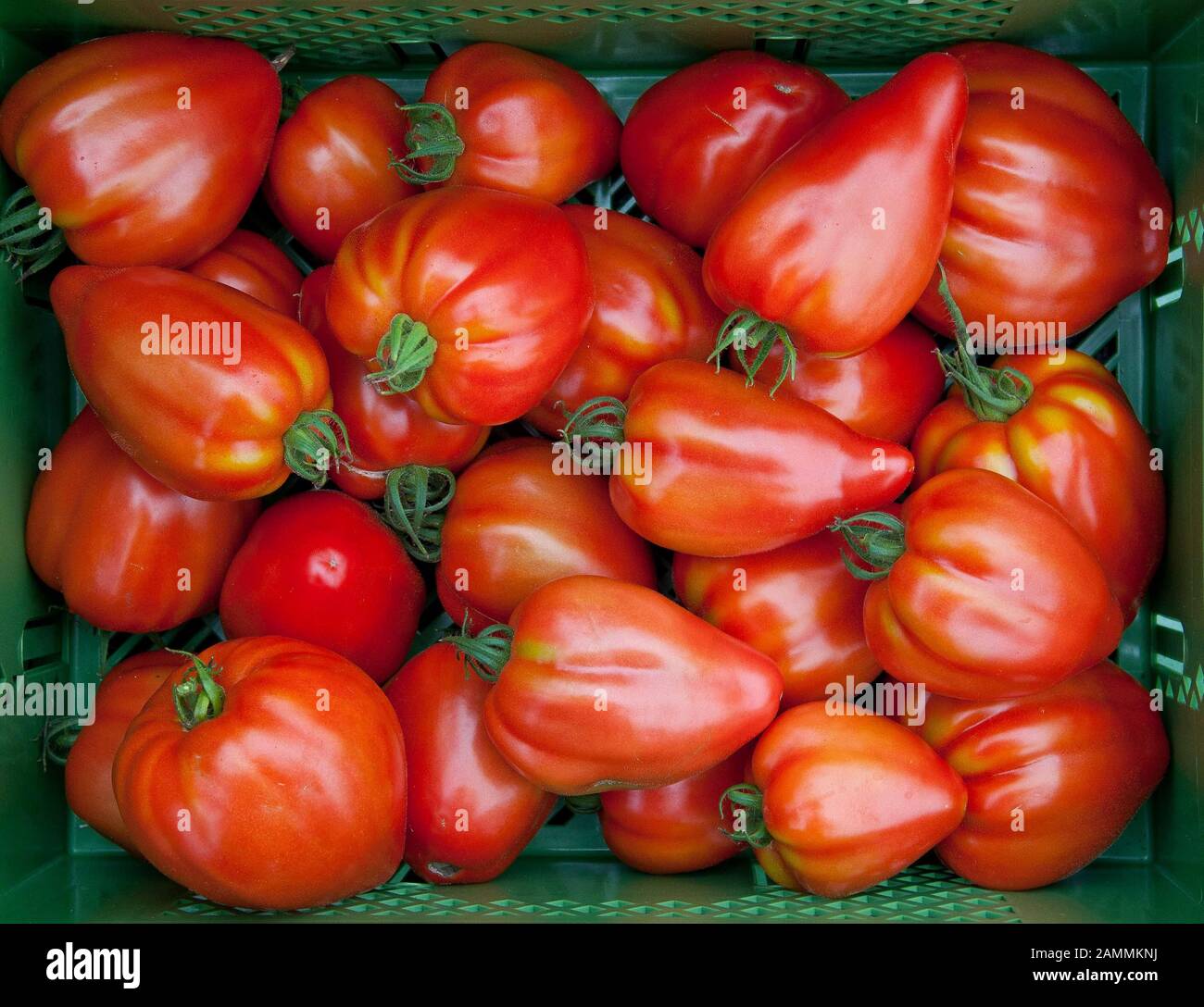 Ox Heart Tomatoes High Resolution Stock Photography and Images - Alamy