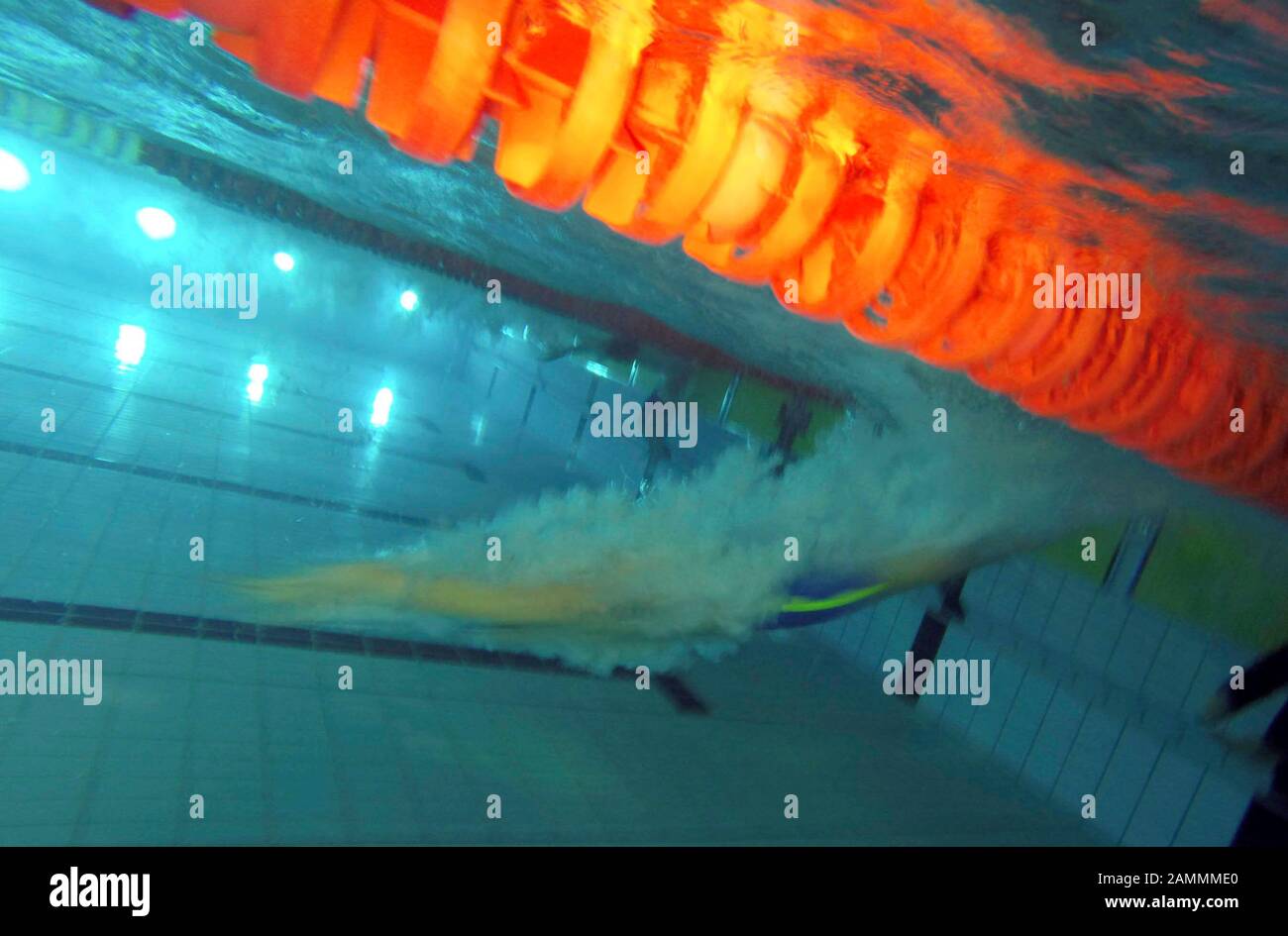 Swimmers at the start jump during the "Head-Trophy" swimming festival ...