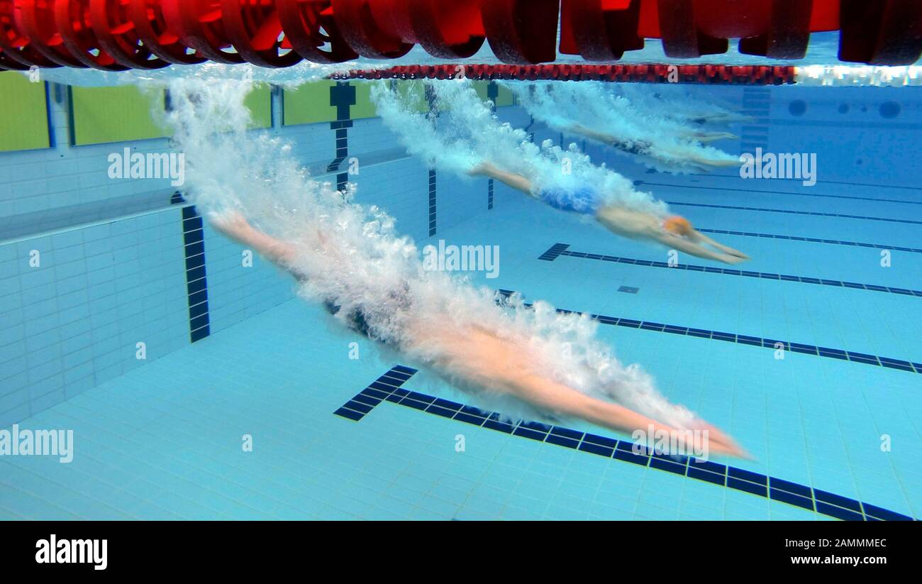 Swimmers at the start jump during the "Head-Trophy" swimming festival ...