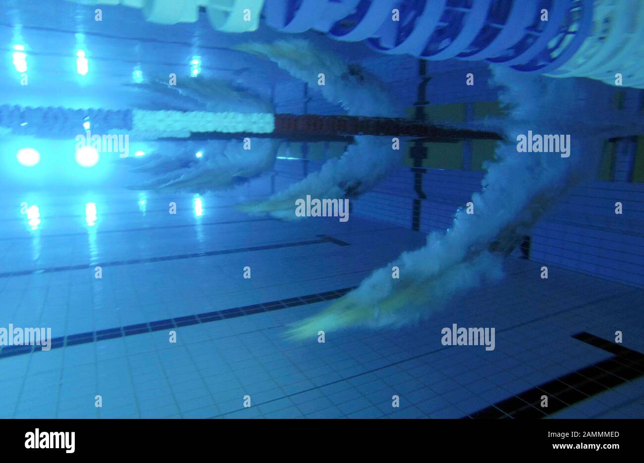 Swimmers at the start jump during the "Head-Trophy" swimming festival ...