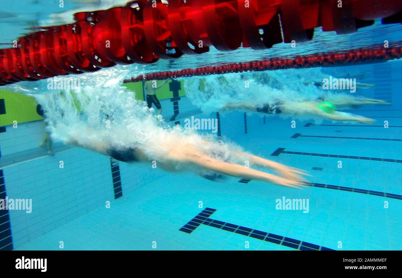 Swimmers at the start jump during the "Head-Trophy" swimming festival ...