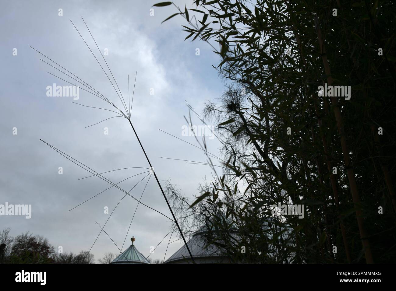 Electric grass in the enclosure of the elephants in Munich's Hellabrunn ...