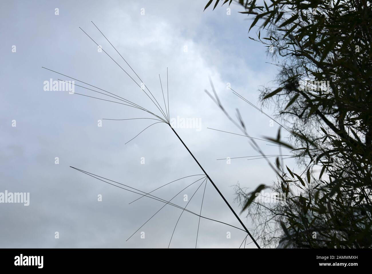 Electric grass in the enclosure of the elephants in Munich's Hellabrunn ...