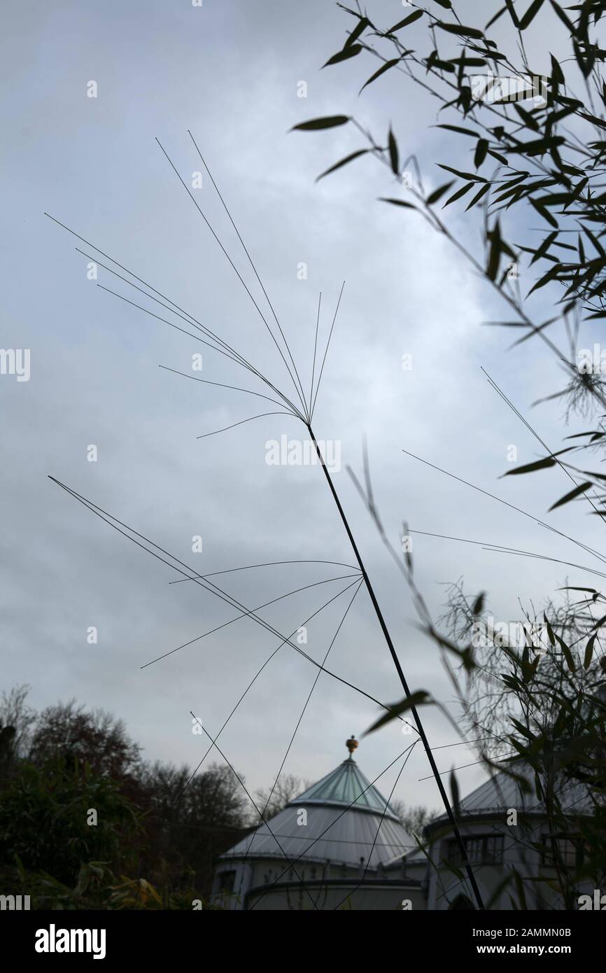 Electric grass in the enclosure of the elephants in Munich's Hellabrunn ...