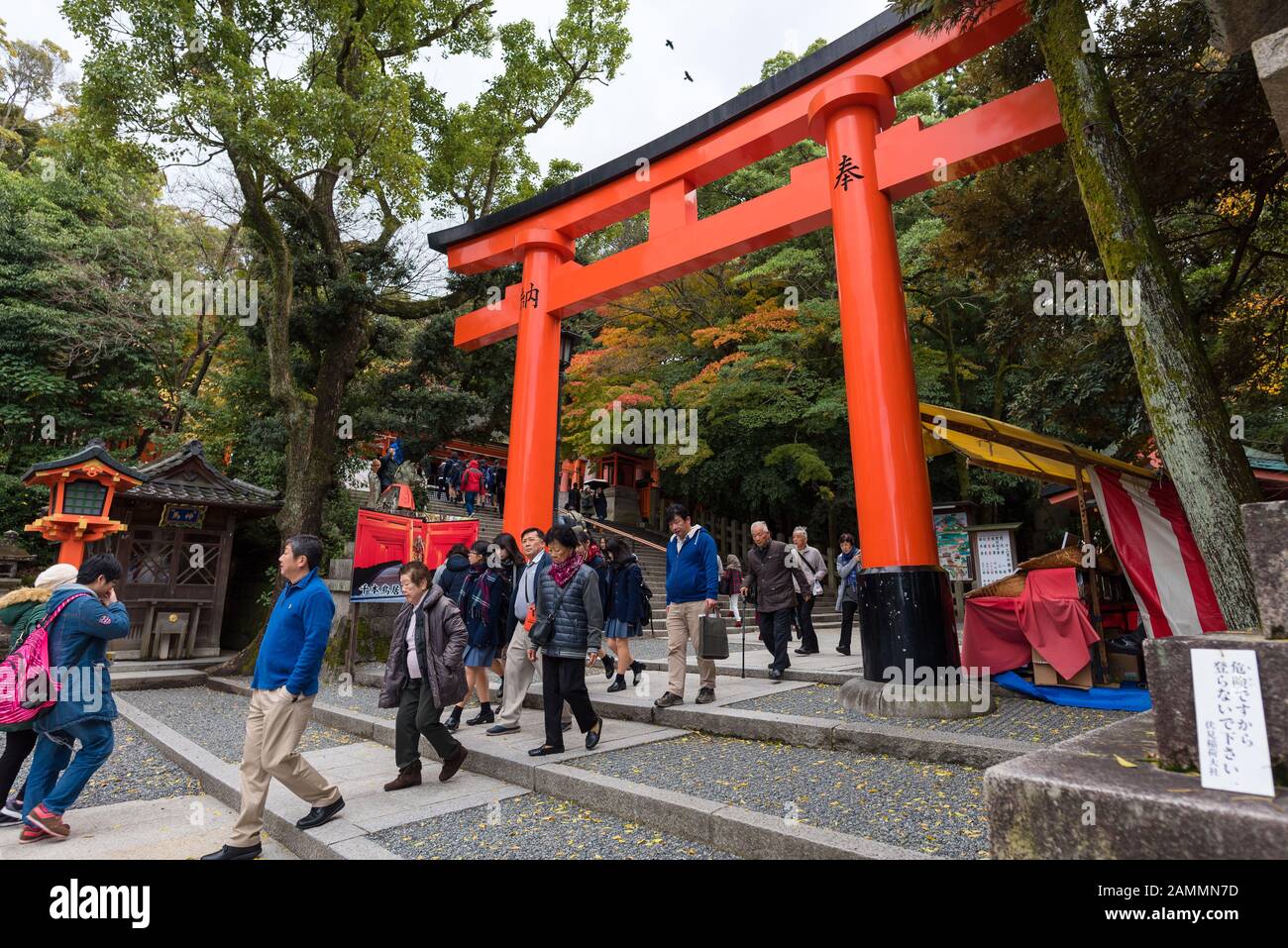 KYOTO, JAPAN - NOVEMBER 28, 2016 : Tourists at the red torii gates ...