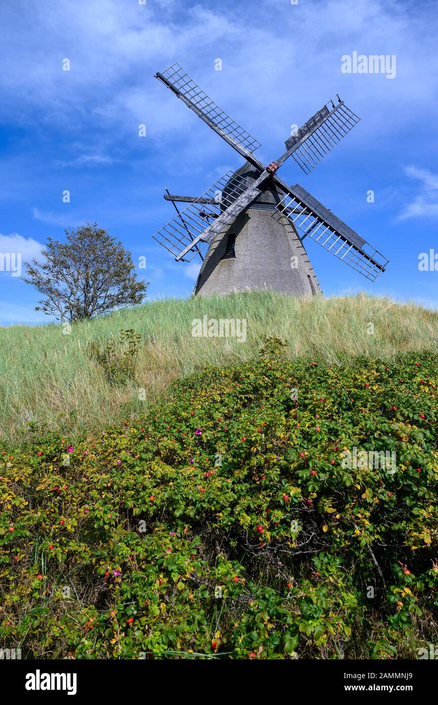 A windmill in the Danish fishing village of Skagen Stock Photo - Alamy