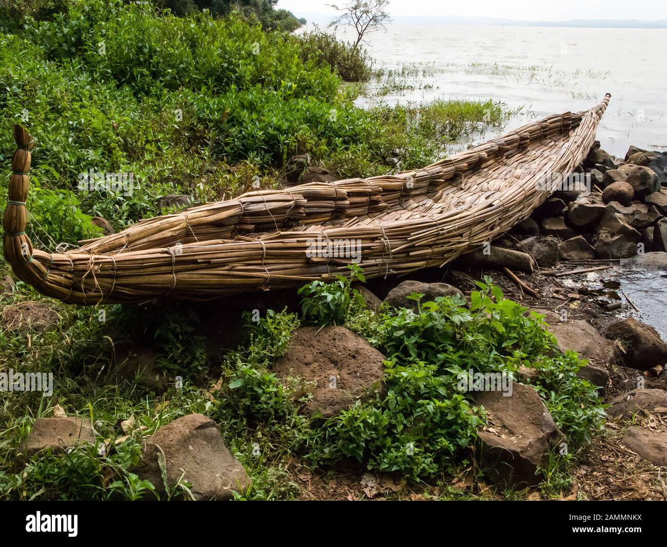 Papyrus boat on the Tala lake shore, Ura Kidane Mehret, Lake Tana, Ethiopia Stock Photo - Alamy