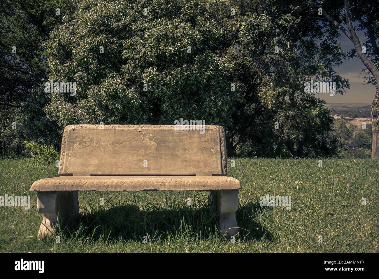 Photograph of a concrete park bench on lawn with trees behind Stock ...