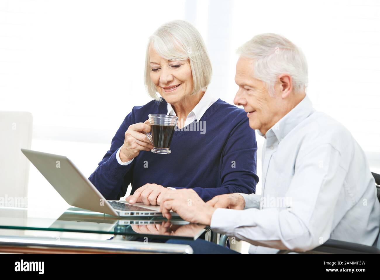 Happy couple of seniors surfing the internet with a laptop computer ...