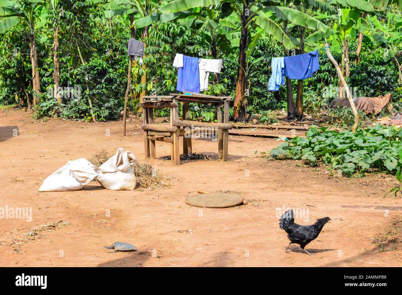 Traditional outdoor living area and Garden in Kanungu District, Western ...