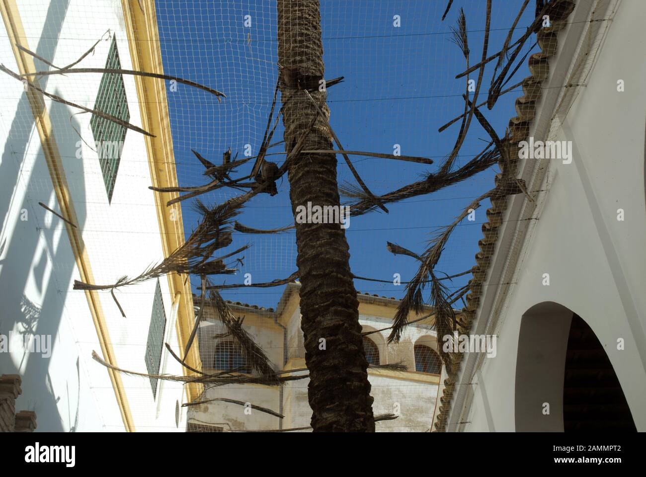 Narrow Cones High Resolution Stock Photography and Images - Alamy