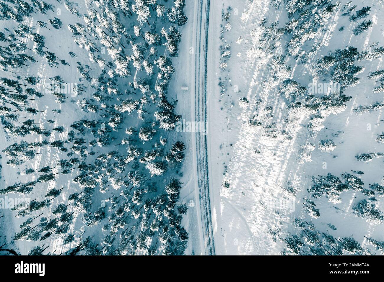 Beautiful shot long trees hi-res stock photography and images - Alamy