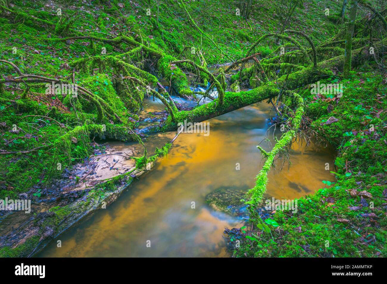 Green landscape with small river in the forests Stock Photo - Alamy