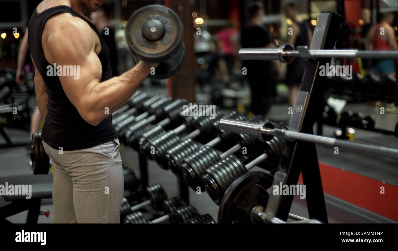 Muscleman lifting heavy dumbbells in gym, sport equipment, power ...