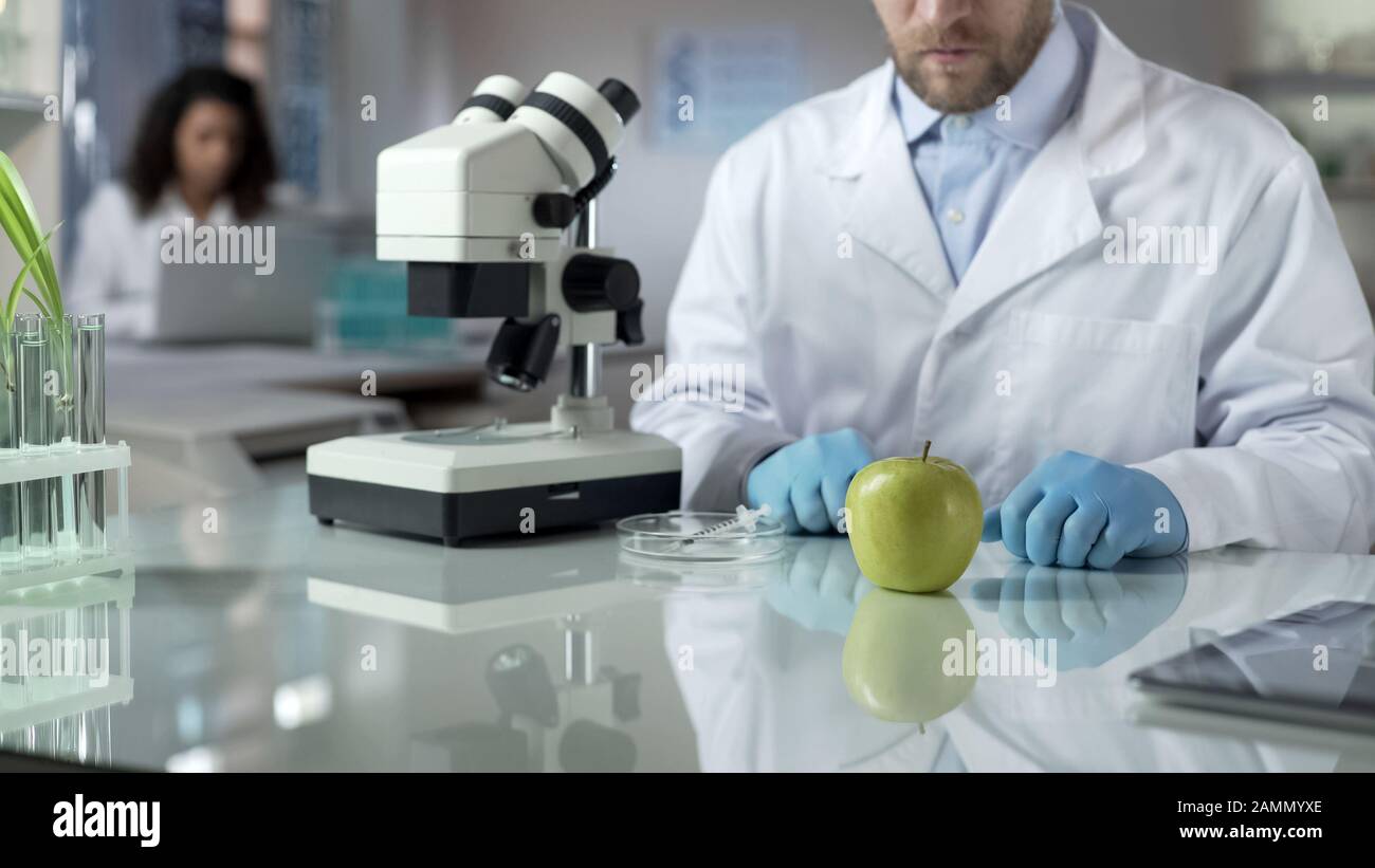 Scientist looking at lab apple sample, checking chemical reaction, food ...