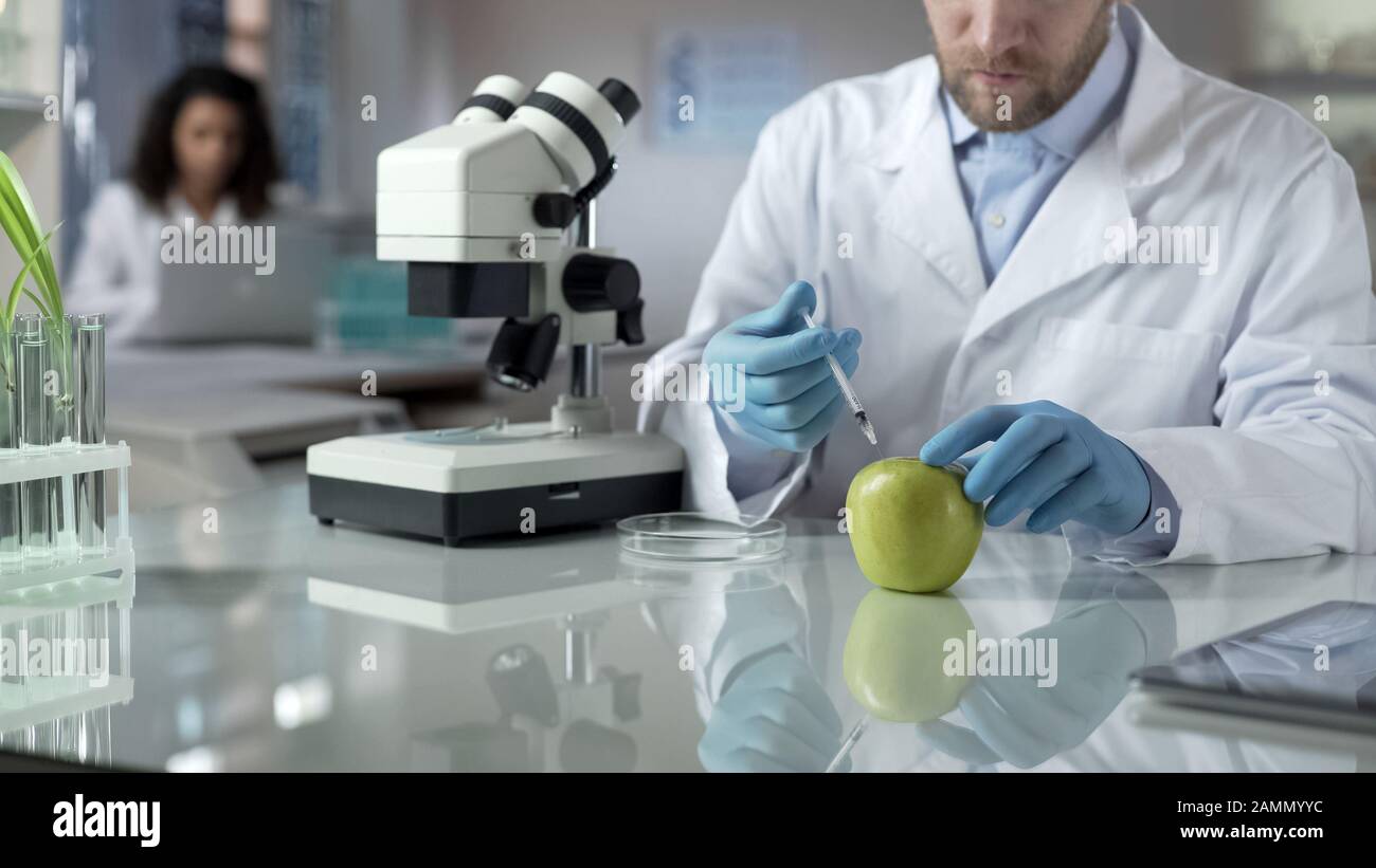 Lab assistant injecting apple with portion of pesticide for marketable ...