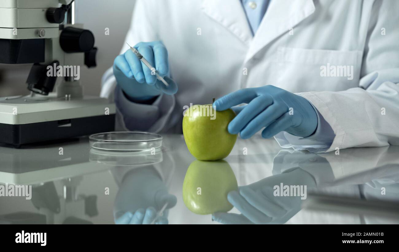 Laboratory worker carrying out research on apple, checking chemical ...