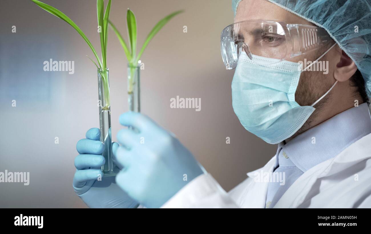 Cosmetic laboratory worker carefully examining samples before taking ...