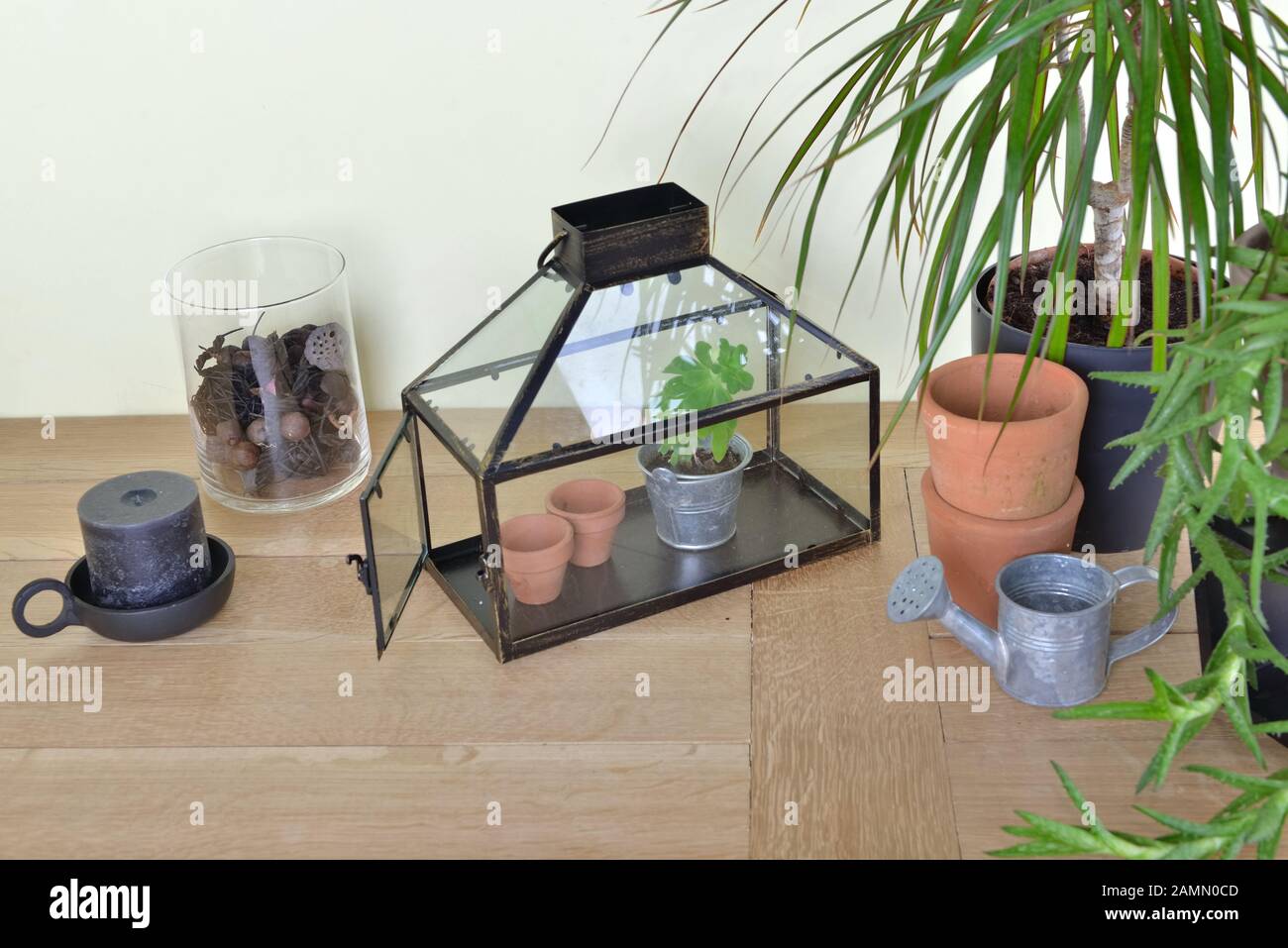 Wooden greenhouse interior hi-res stock photography and images - Alamy