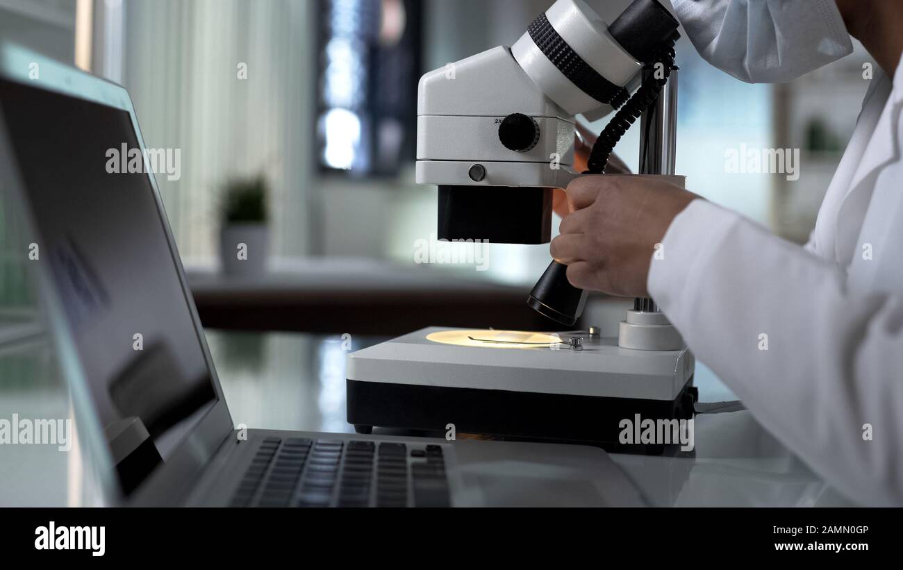 Laboratory worker studying samples under microscope, laptop on table ...
