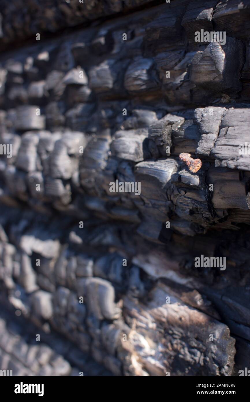 Natural fire ashes with dark grey black coals texture. It is a ...