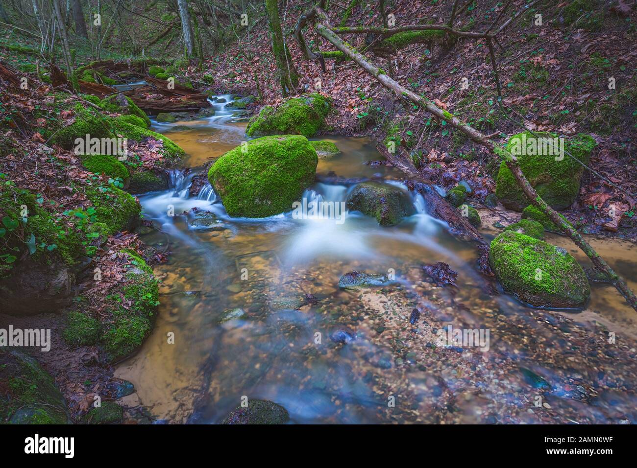 Green landscape with small river in the forests Stock Photo - Alamy