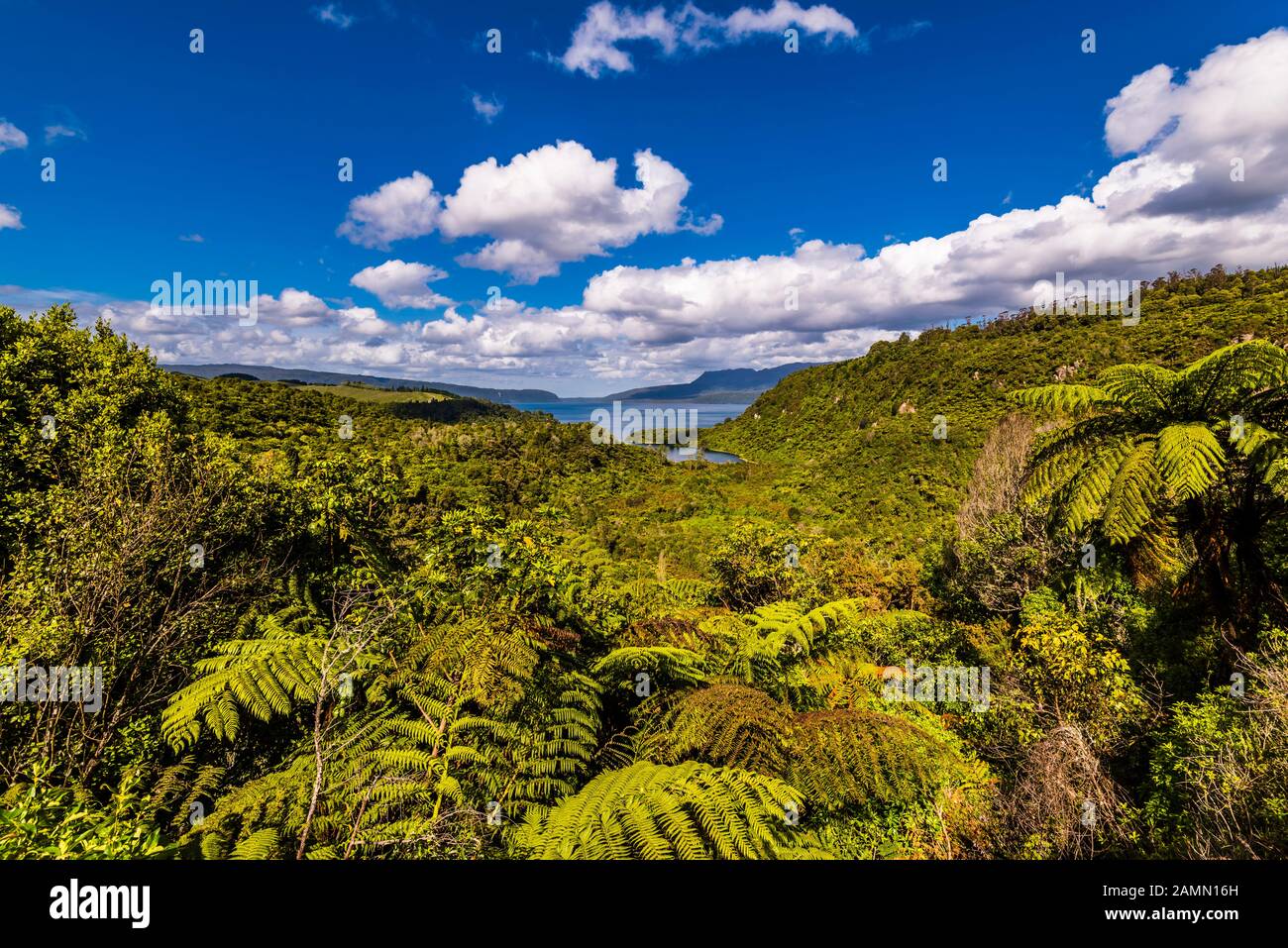 Mount tarawera eruption hi-res stock photography and images - Alamy