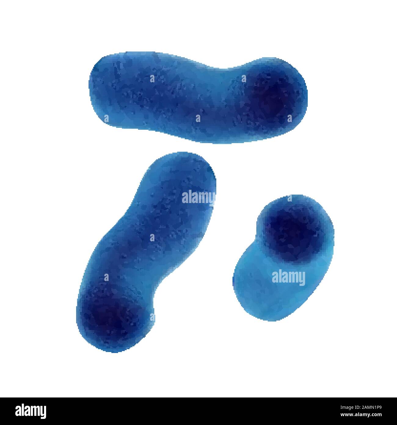 Microscopic Blue Vegetative Cell Bacterias Vector Stock Vector Image ...
