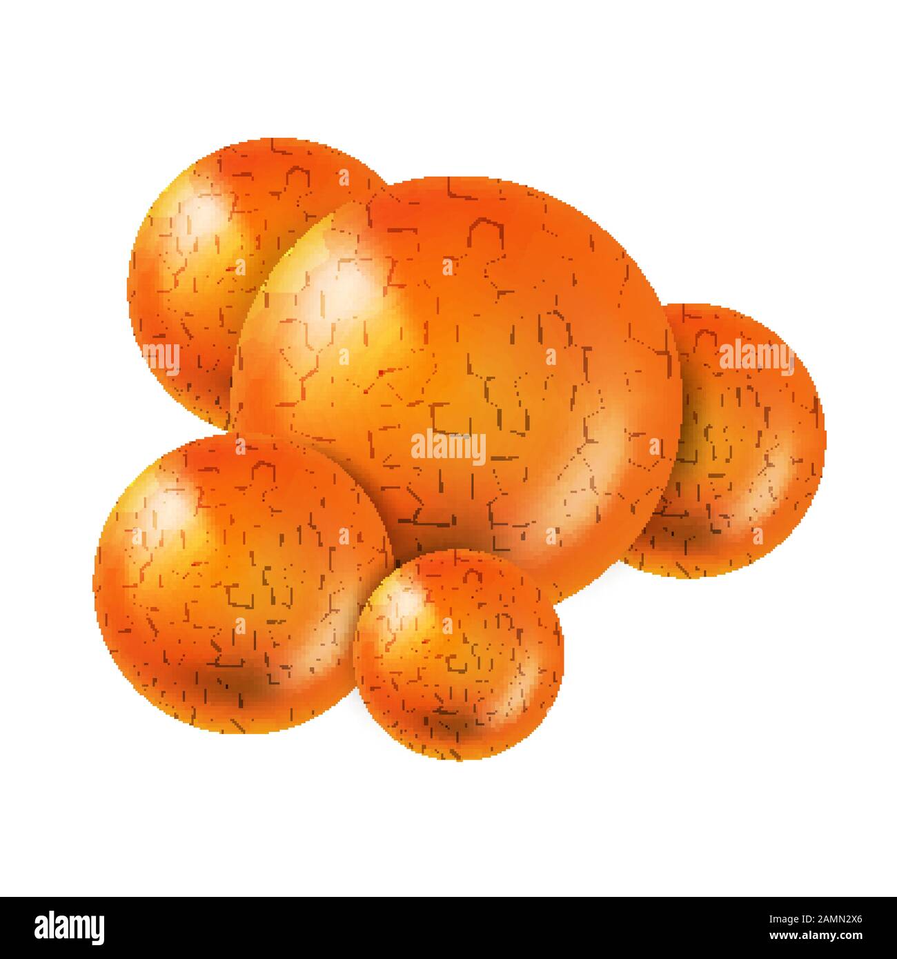 Microbiological Bacterium Sarcina Cocci Vector Stock Vector Image & Art ...