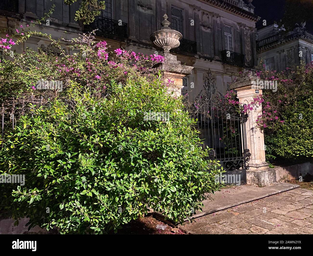 Merida mexico night hi-res stock photography and images - Alamy