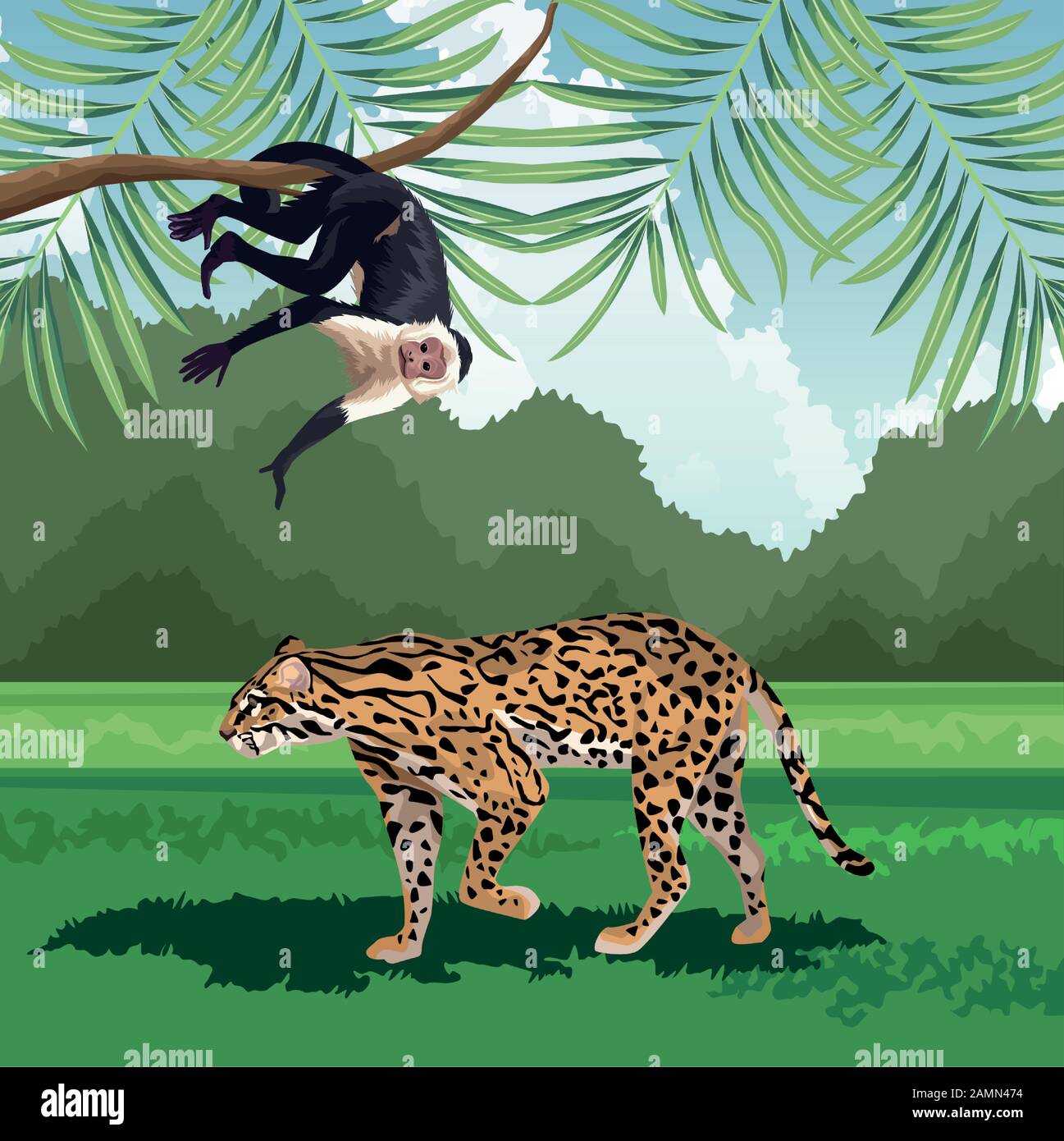 Leopard hanging tree Stock Vector Images - Alamy
