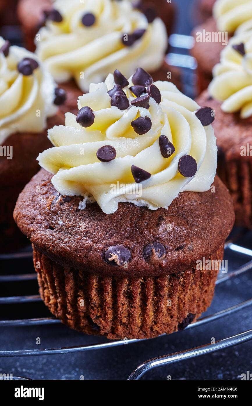 close-up of Chocolate cupcake topped with vanilla buttercream swirl ...
