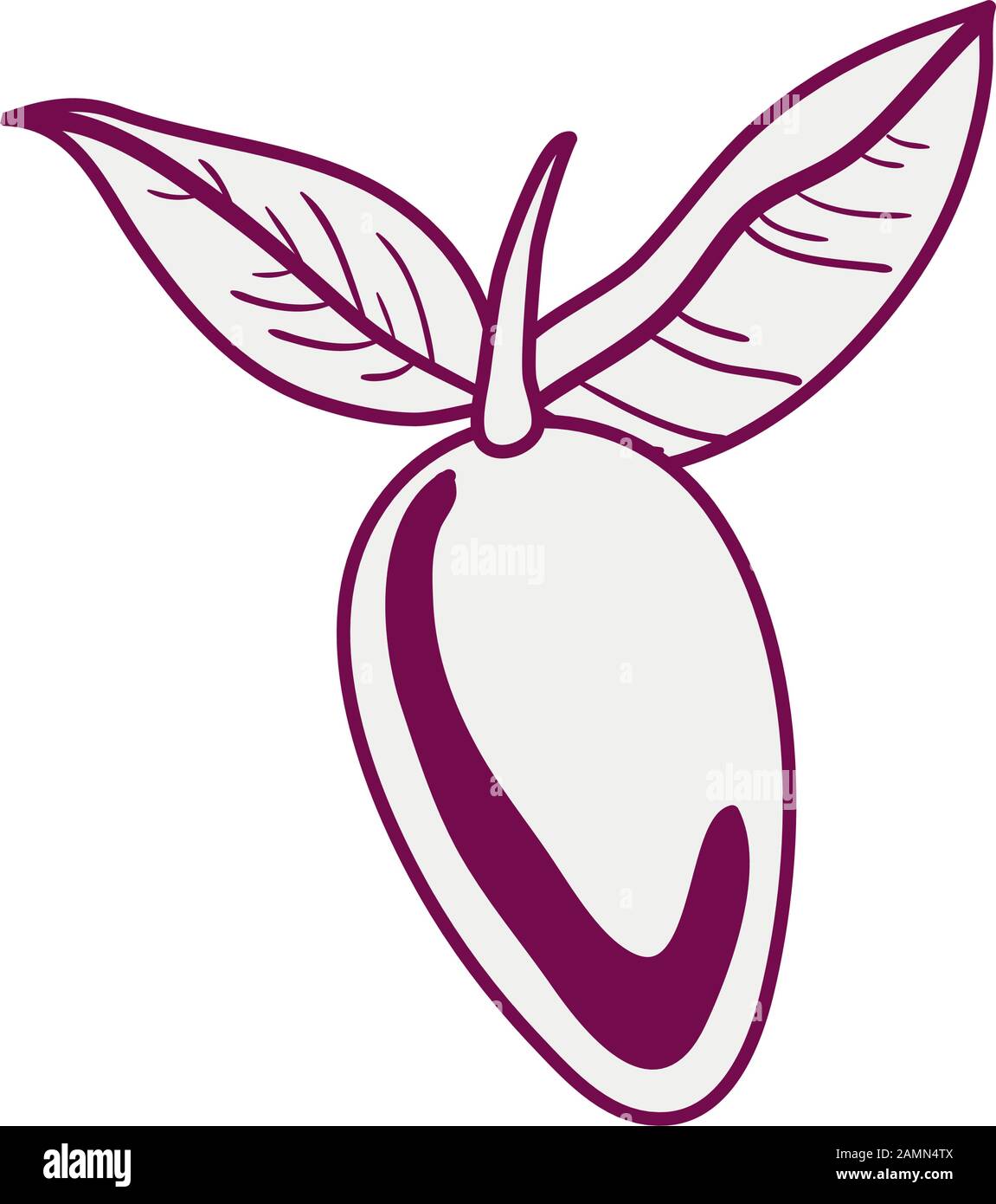 Indian mango Stock Vector Images - Alamy