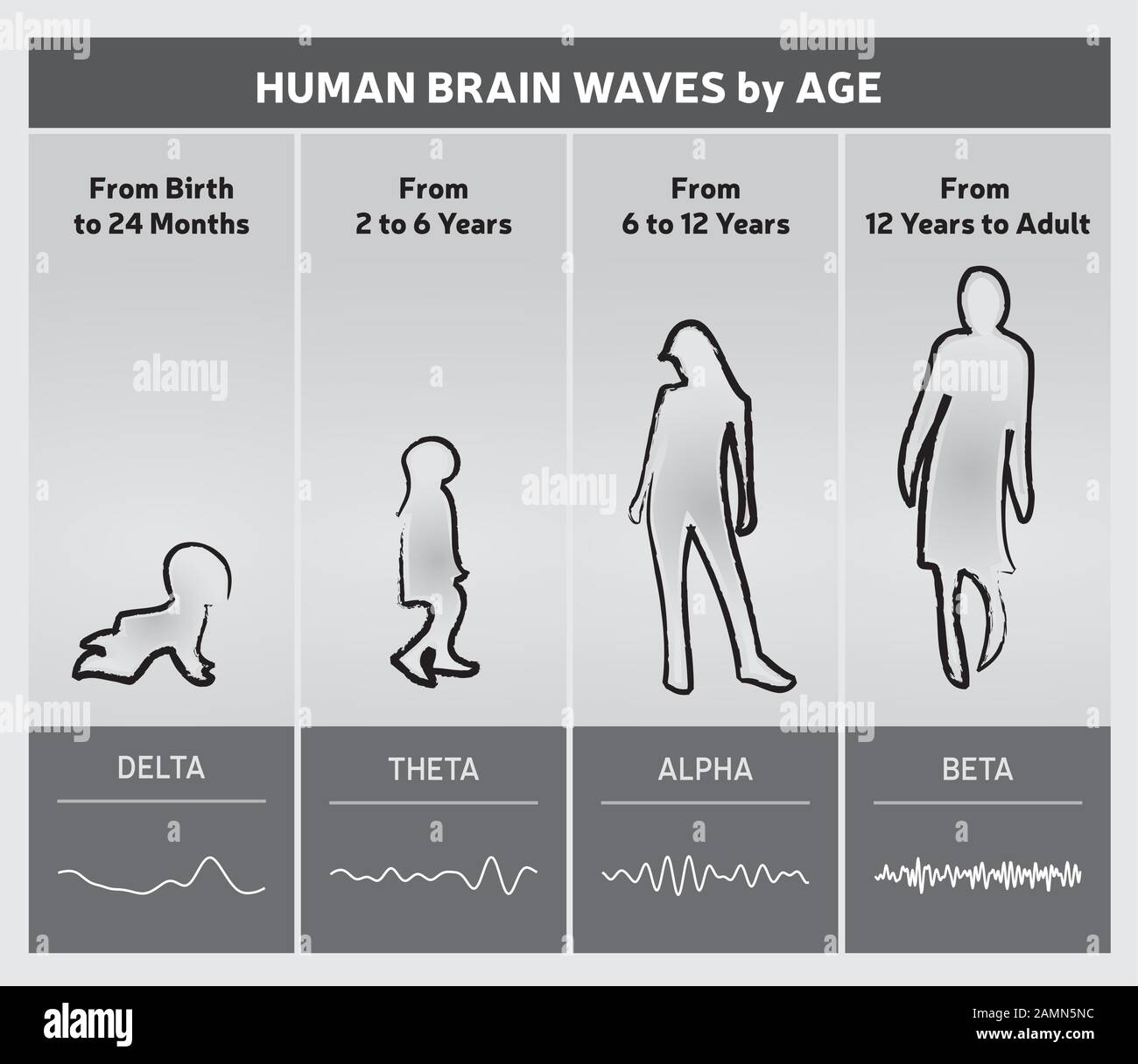 Human Brain Waves by Age Chart Diagram - People Silhouettes - English ...