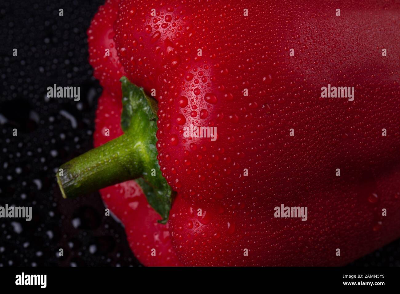 Scarlet drop hi-res stock photography and images - Alamy