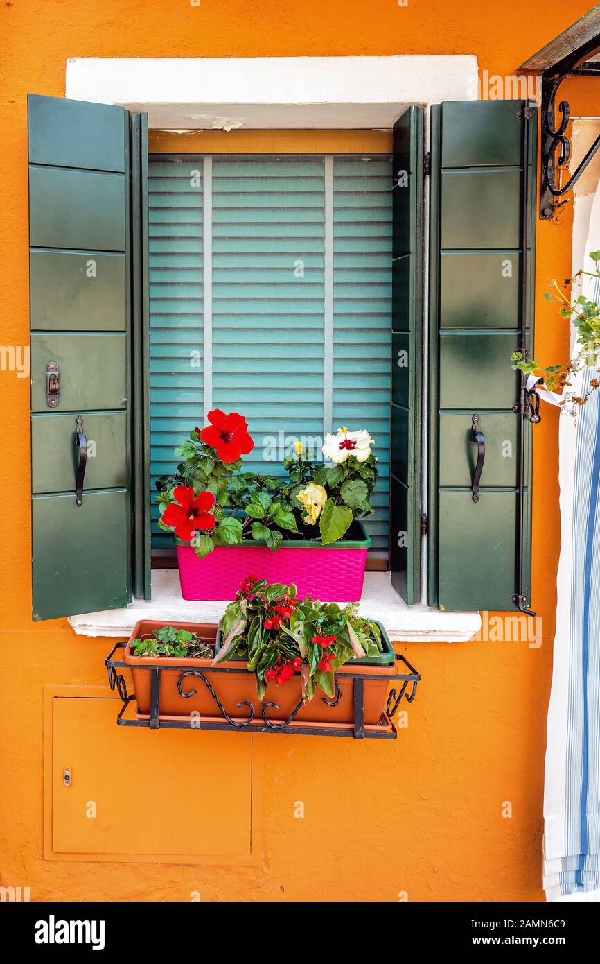 Picturesque window with green shutters and flowers on orange wall of ...