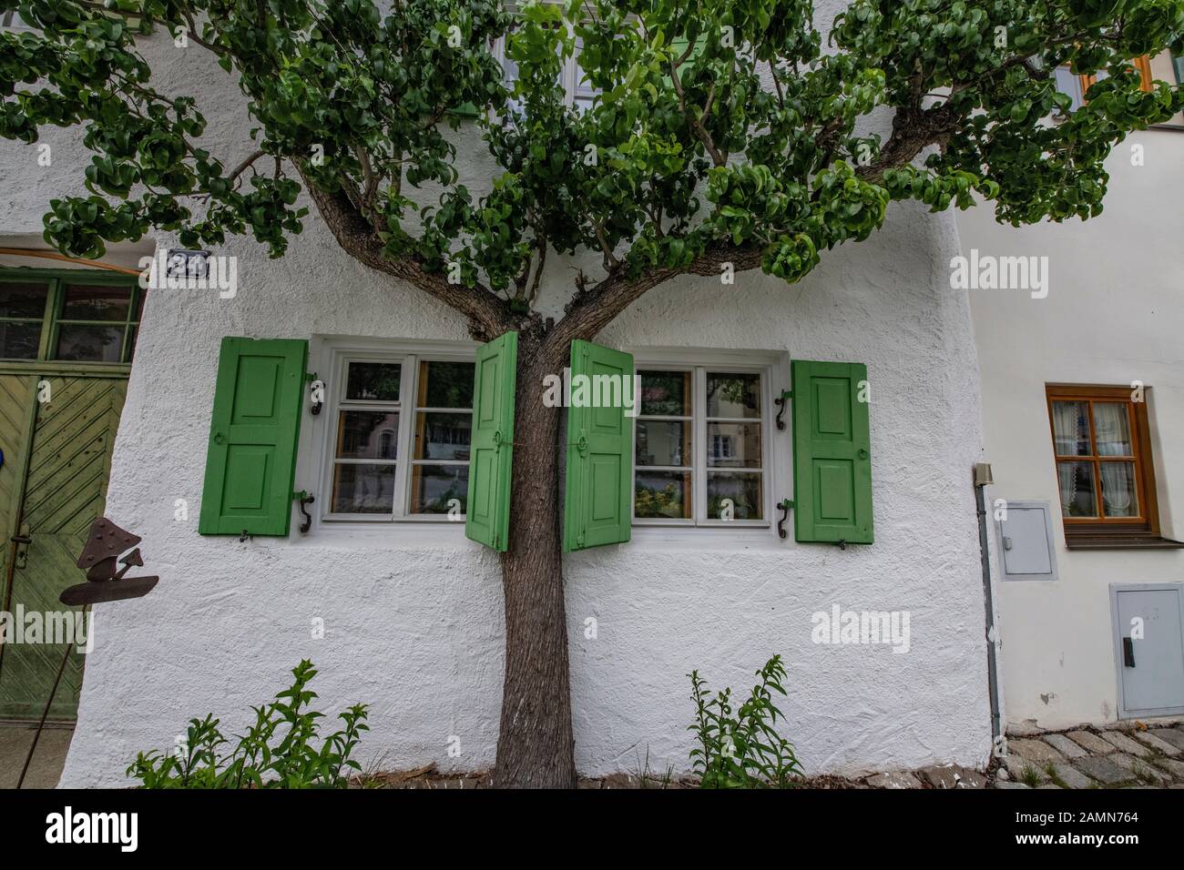 House and tree Stock Photo - Alamy