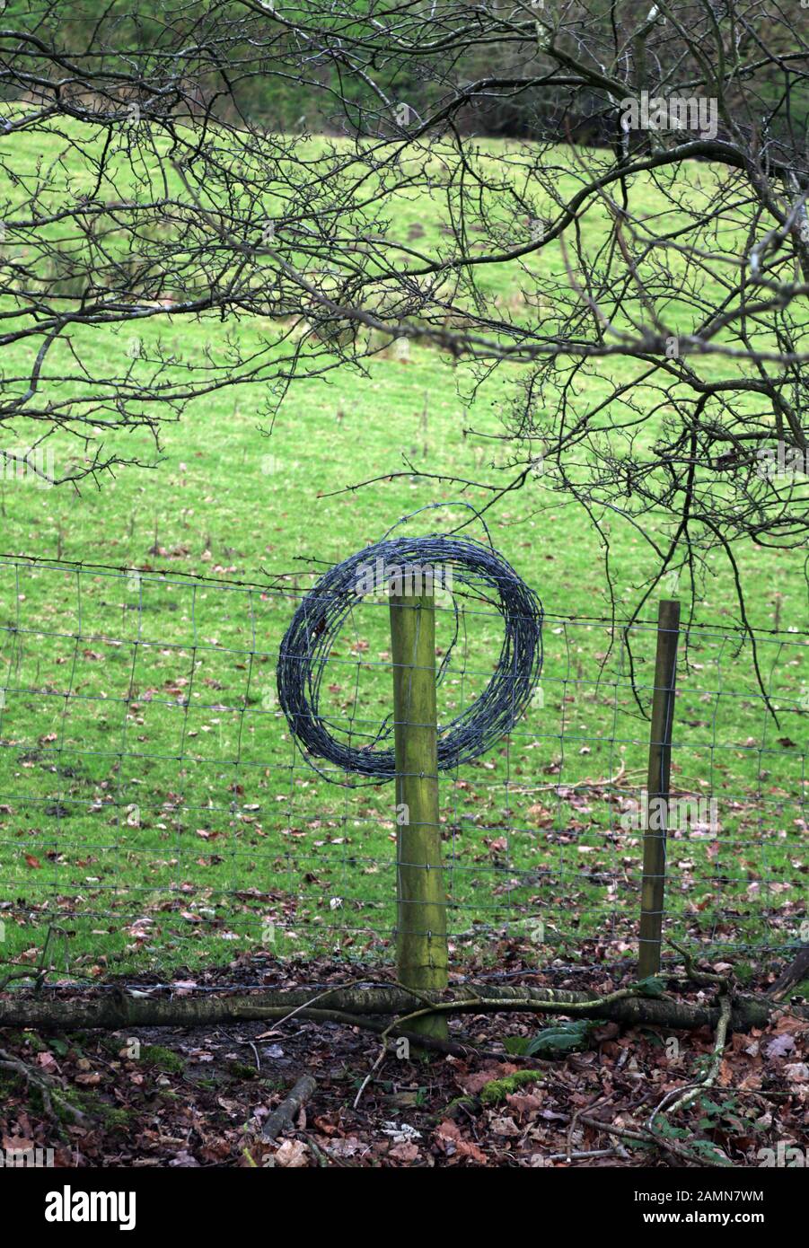 Hanging Coil High Resolution Stock Photography and Images - Alamy