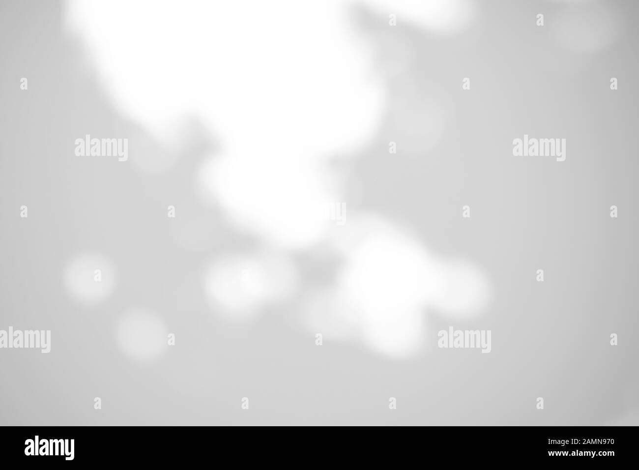 Organic drop shadow on a white wall Stock Photo - Alamy