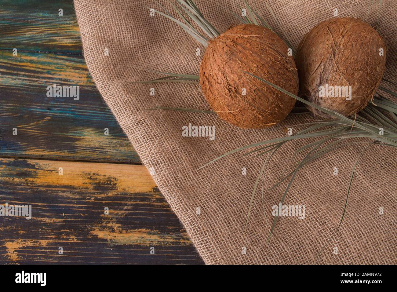 Couple of coconuts on canvas fabric Stock Photo - Alamy