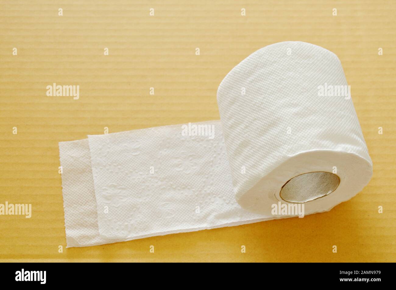 Toilet tissue manufacturing hi-res stock photography and images - Alamy